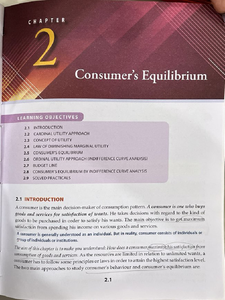 Consumer Equilibrium | PDF