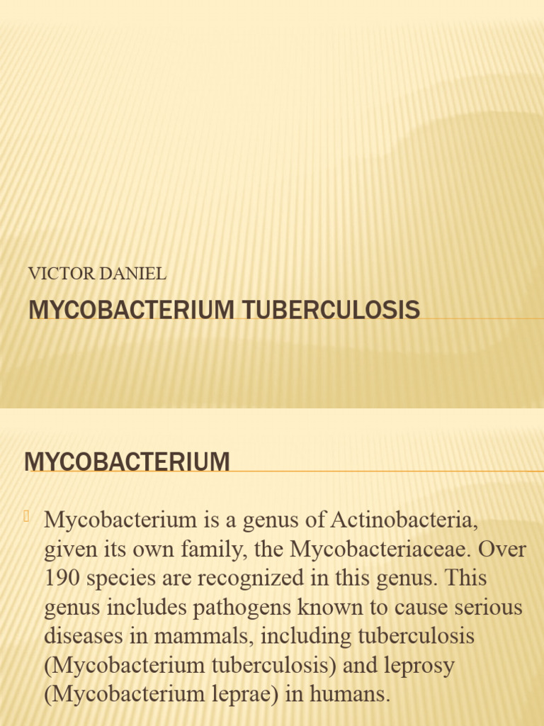 1 Mycobacterium Tuberculosis | PDF | Tuberculosis | Mycobacterium