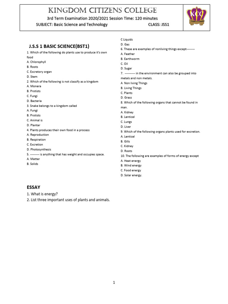 Basic Tech Grade 9 | PDF | Computer Hardware | Computer Data Storage