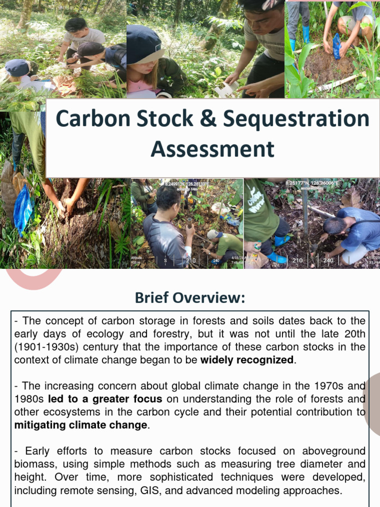 Forest Carbon Stock Assessment Guide | PDF | Climate Change | Carbon ...