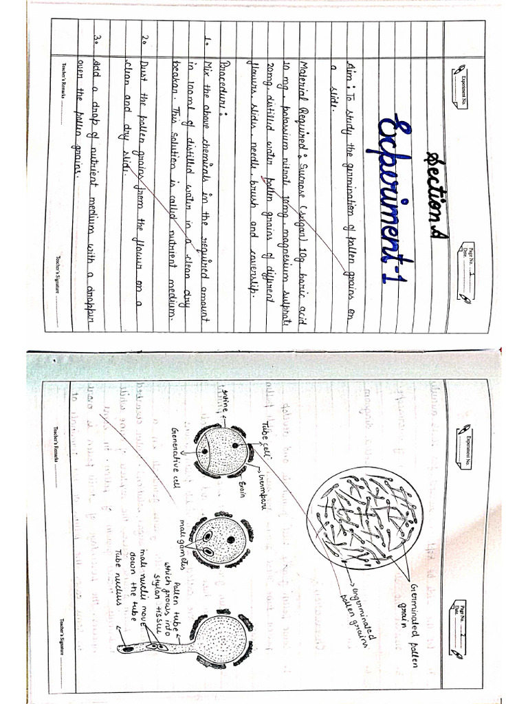 Biology Lab Mannual Pdf