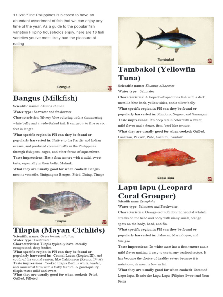 FISH | PDF | Tuna | Fish