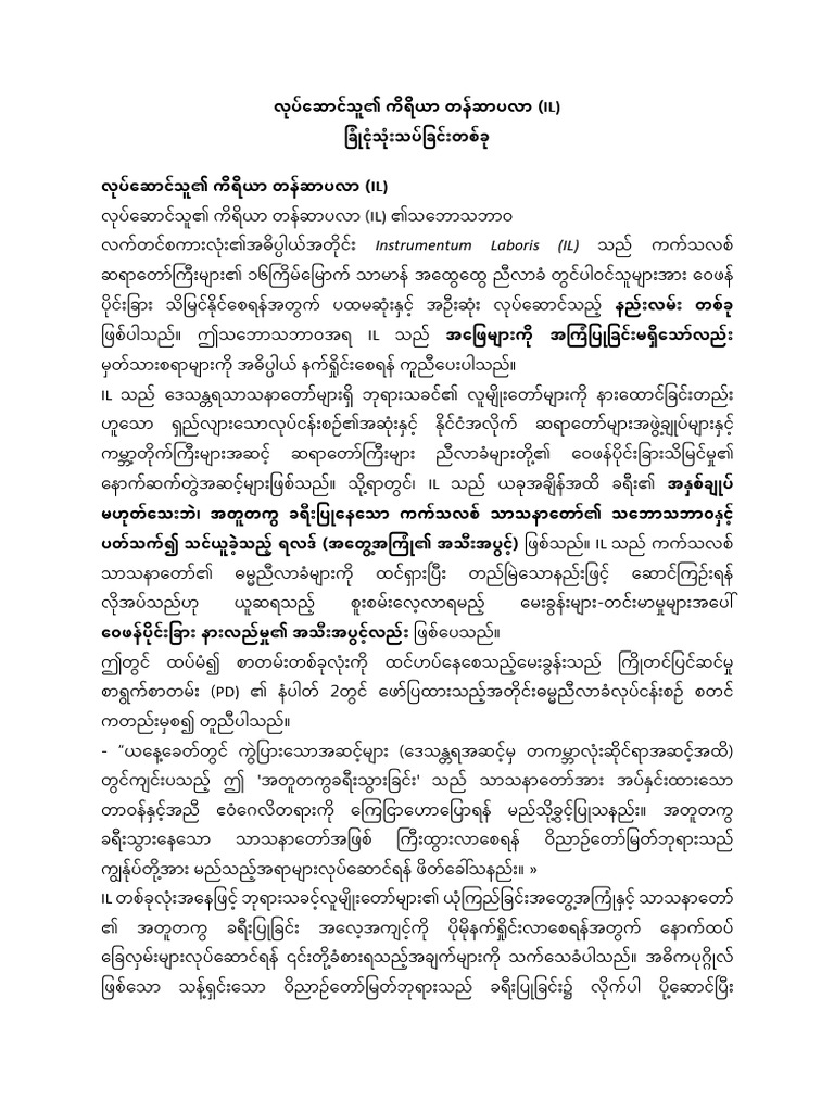 BURMESE Sintesi IL | PDF