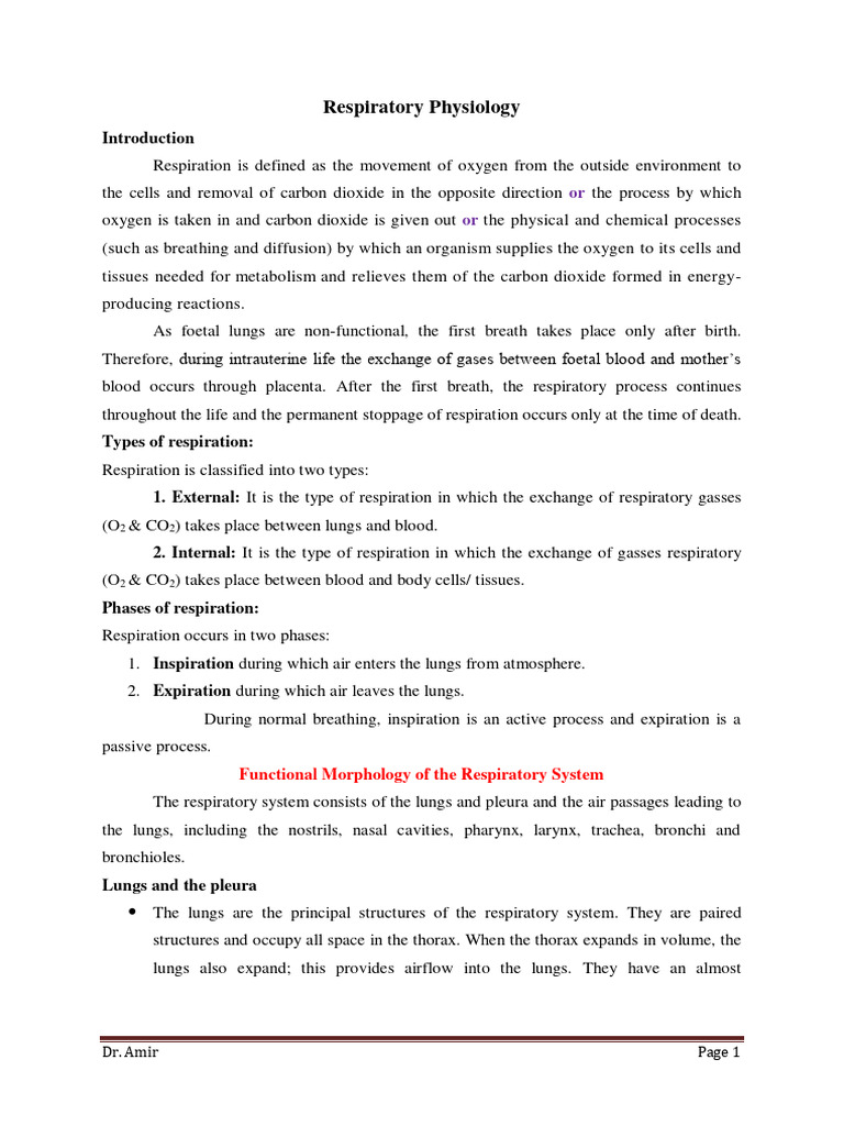 Respiratory Physiology | Download Free PDF | Respiratory Tract | Lung
