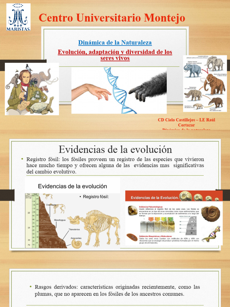 02 Evolución Darwin | PDF | Evolución | Seleccion natural