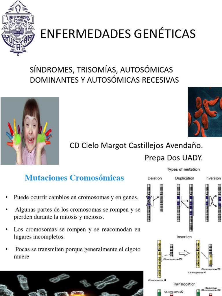 Enfermedades y Mendel-1 | PDF | Dominancia (Genética) | Cigosidad