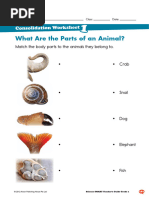 Worksheet Science Grade 4 (Part of Plants) | PDF | Plant Stem | Leaf