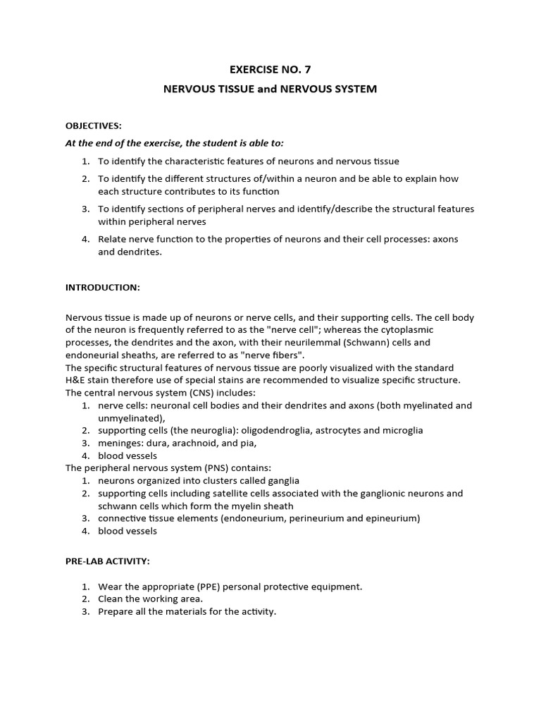 Exercise-No.-7-Nervous-Tissue | PDF | Central Nervous System | Nervous ...