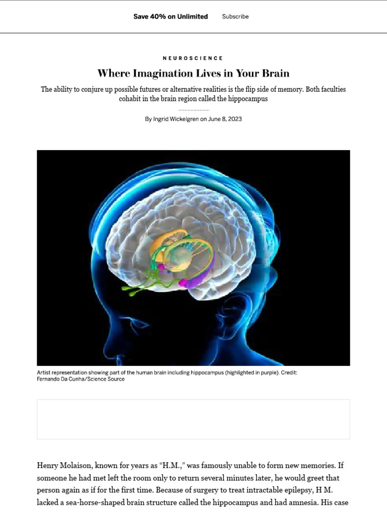 Brain and Imagination | PDF | Memory | Hippocampus