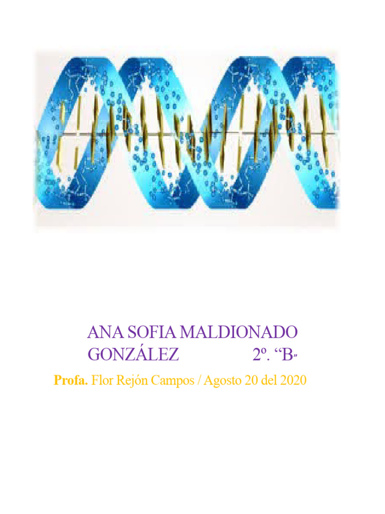 Ciencias LL Tarea 2° | PDF | Adn | Genética