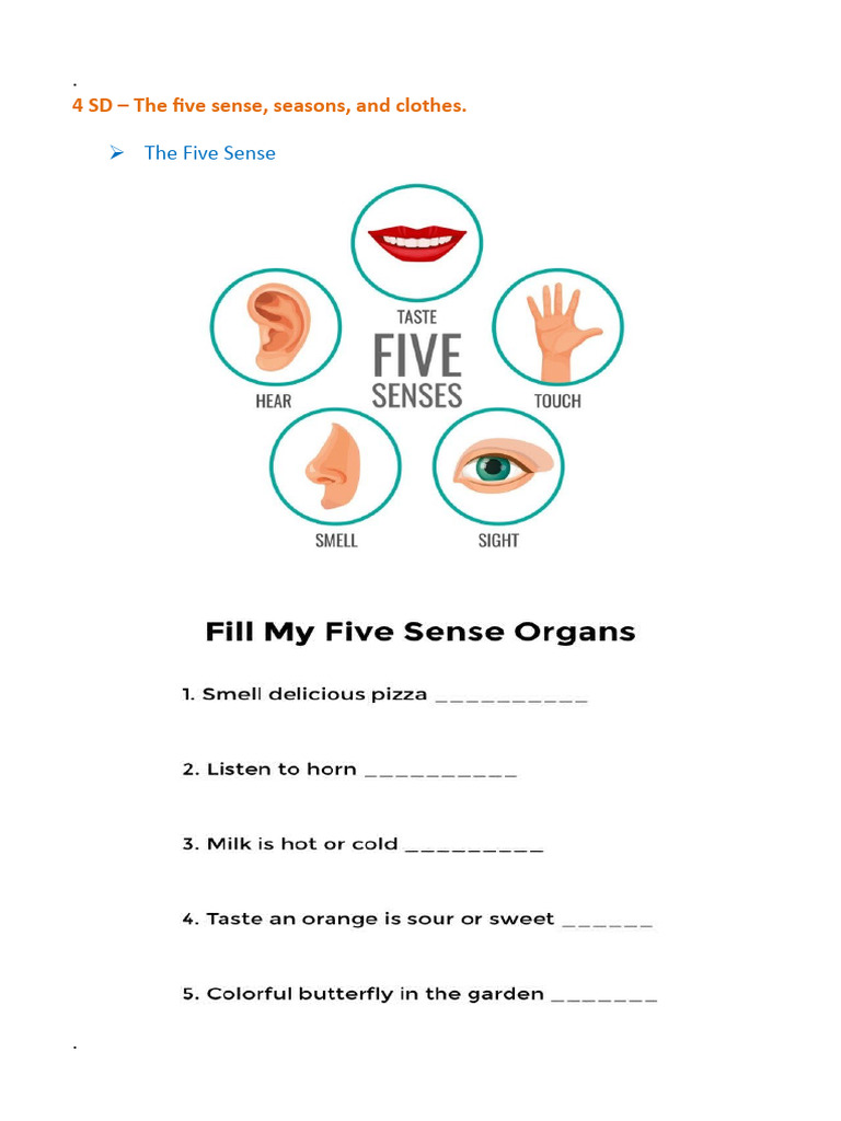 4 SD - The Five Sense, Seasons, and Clothes | PDF | Language Arts ...