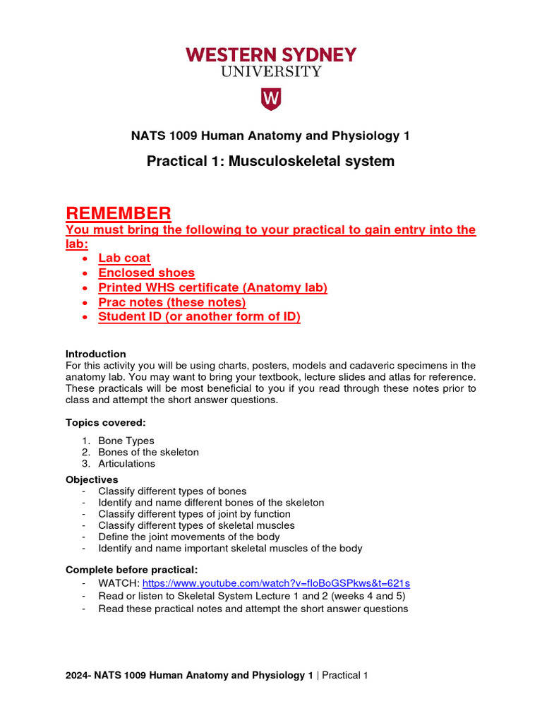 Practical 1 - Skeletal Anatomy | PDF | Vertebra | Skeletal System