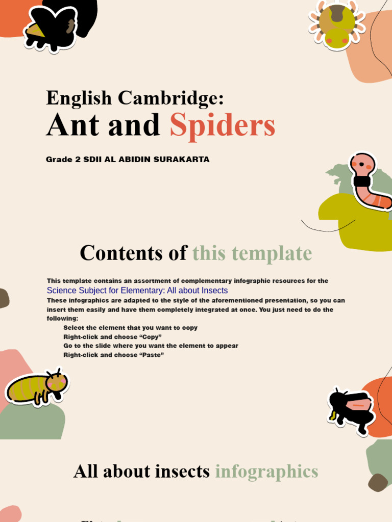 English - Ants and Spiders | PDF