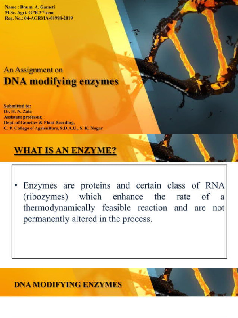 Dna Modifiying Enzymes | PDF