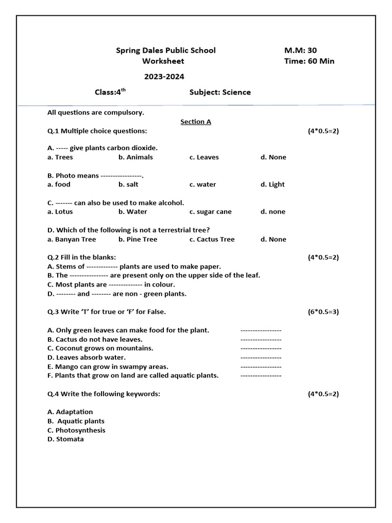 Class 4th Sci Worksheet 1 | PDF | Leaf | Plants