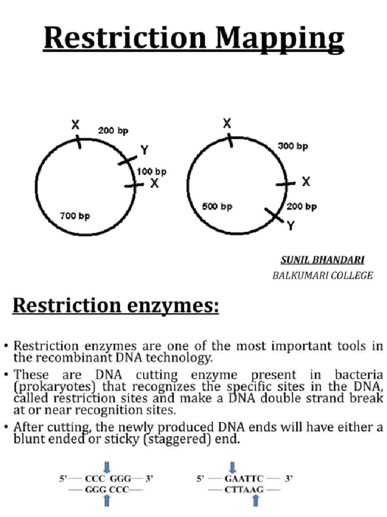Restriction Mapping Pdf