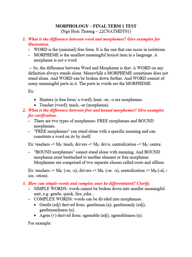 Morphology Concepts and Tests | PDF | Grammatical Gender | Word
