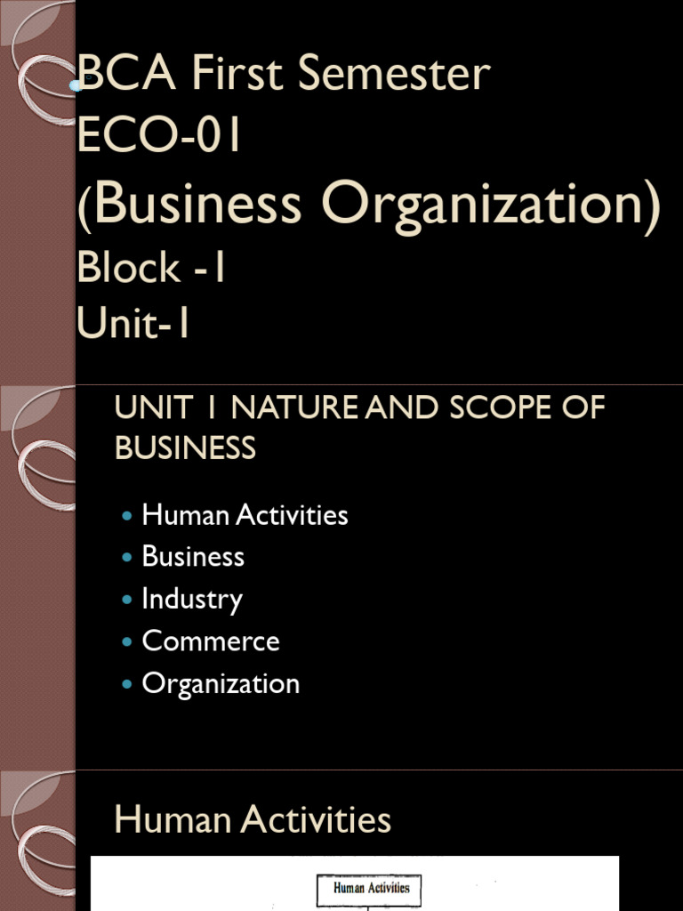 ECO-01 Important Questions | PDF | Stocks | Banks