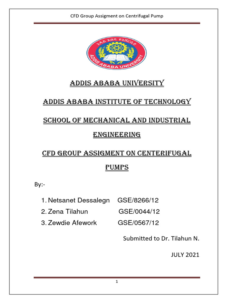 Group A Assignment Report | PDF | Pump | Computational Fluid Dynamics