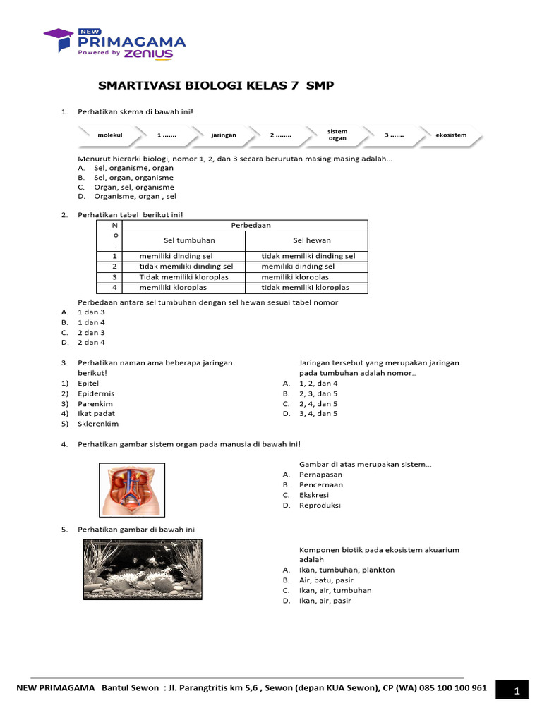 Soal Bio Kelas 7 | PDF