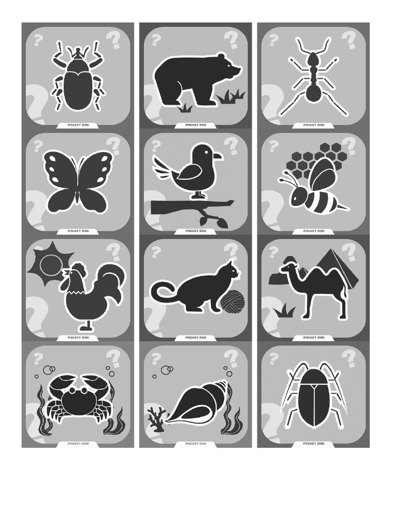 Neobear Pocket Zoo or Popup Zoo Flash Card | PDF