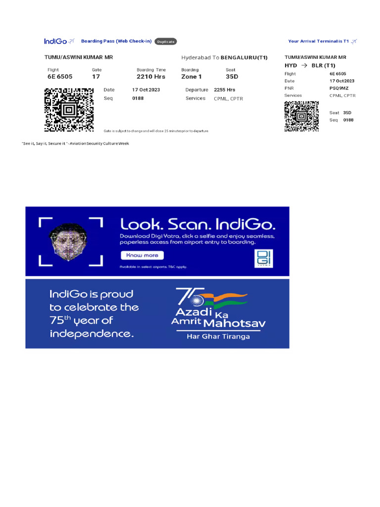 Boarding Pass | PDF