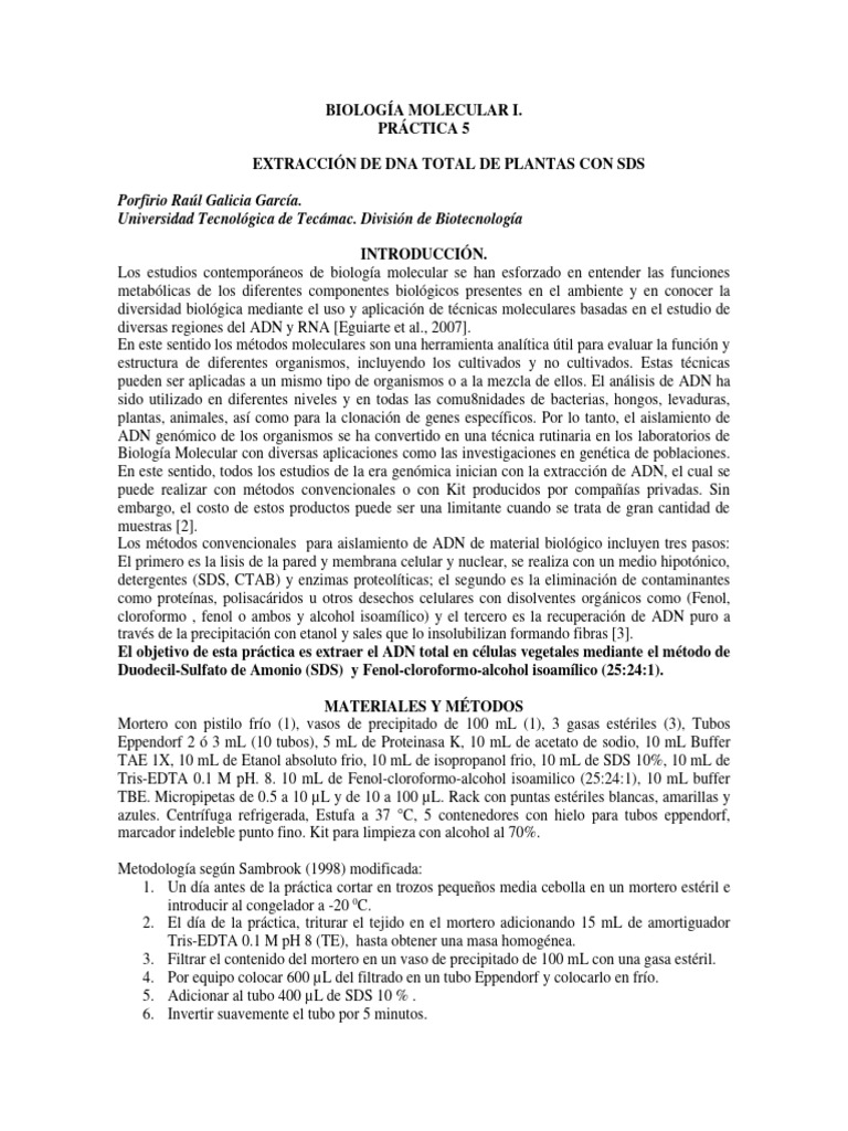 Practica 5 Extraccion ADN Plantas SDS | Descargar gratis PDF | Adn | Genética molecular