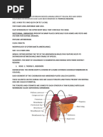 Cockroach Ncert | PDF