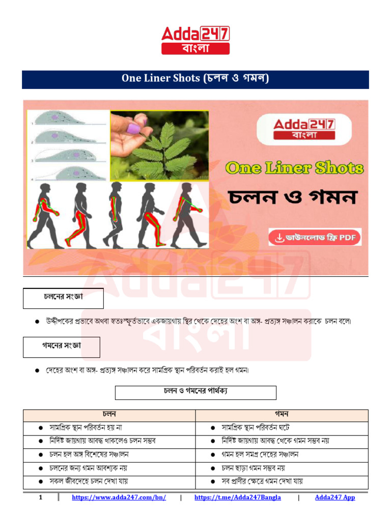 One Liner Shots - Movement & Locomotion, Download Free PDF - 3178 | PDF