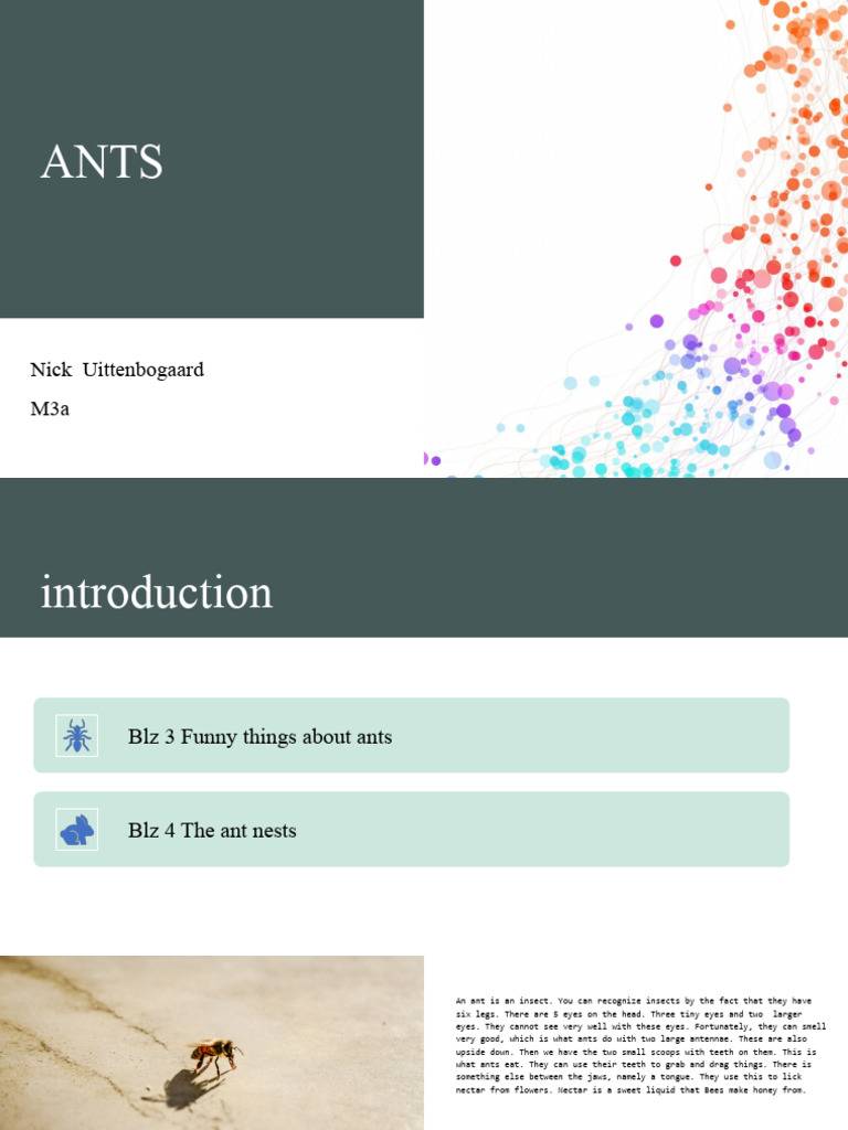 Presentation | PDF | Ant | Nest