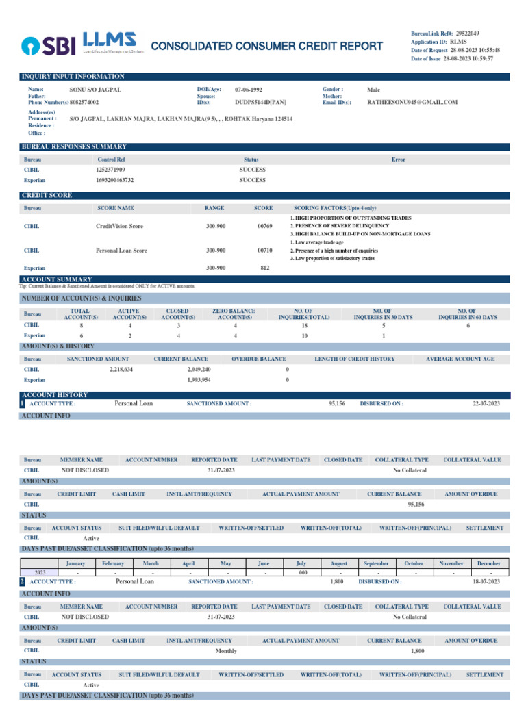 CIC Report (20) | PDF | Credit | Finance & Money Management