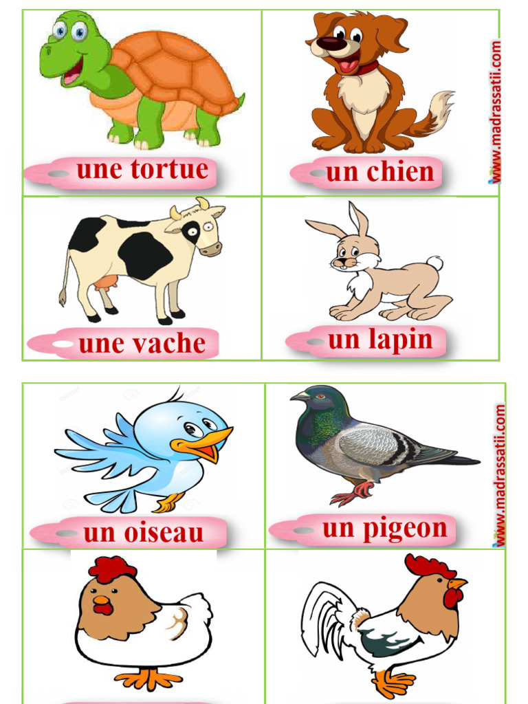 Animaux de la Ferme en Français | PDF