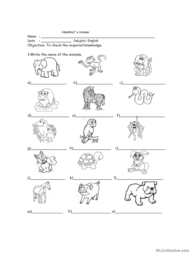 Animals 3 Merged | PDF | Elephant | Zoology