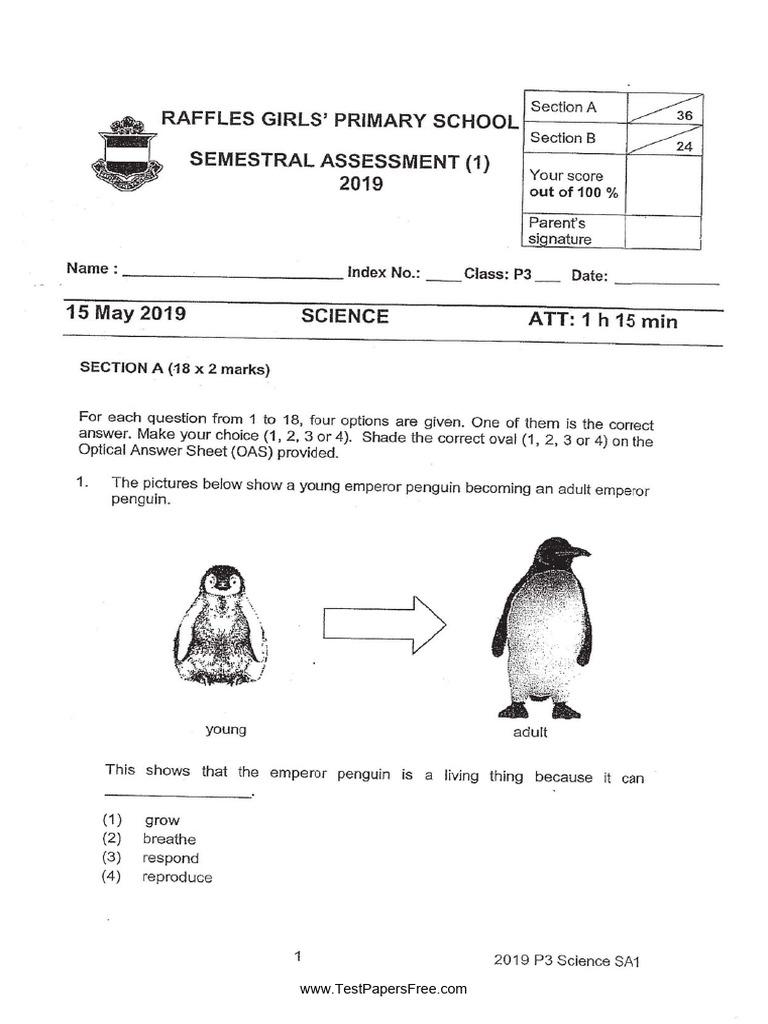 P3 Science 2019 SA1 Raffles Girls | PDF