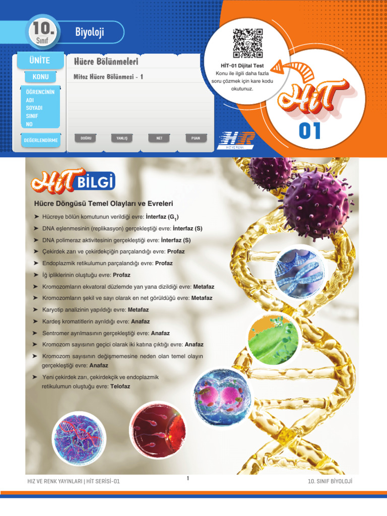 Sınıf Biyoloji Hi̇t Seri̇si̇ - Hiz Ve Renk - 2024 - Ornek | PDF