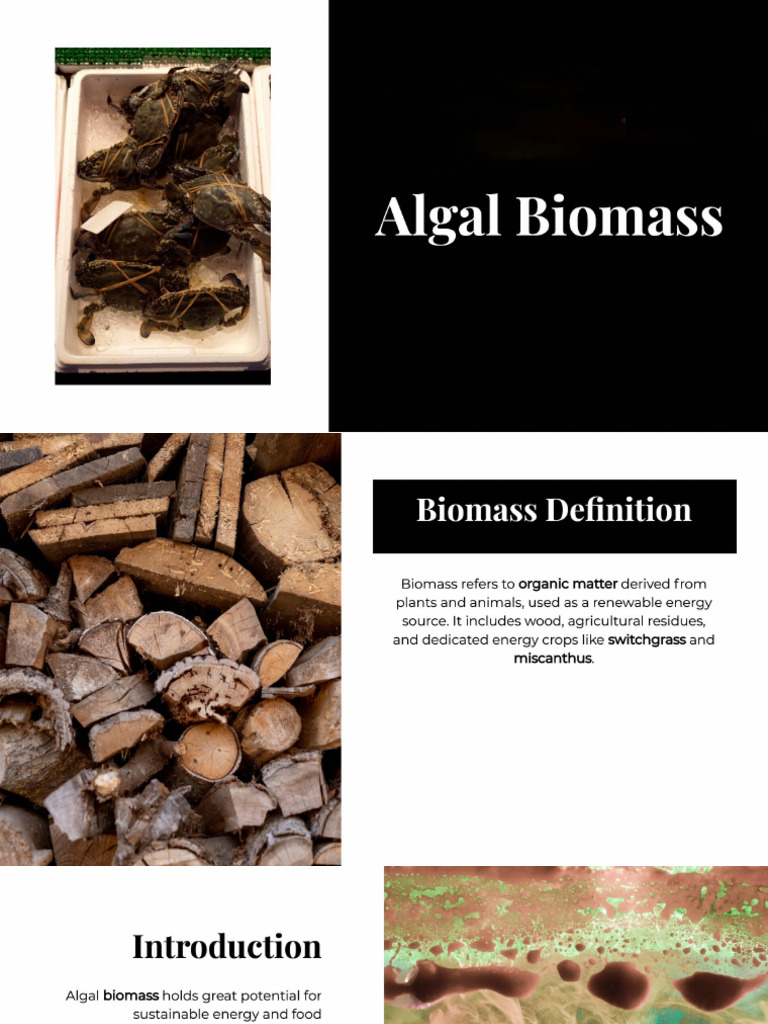 Algal Biomass | PDF | Algae | Algae Fuel