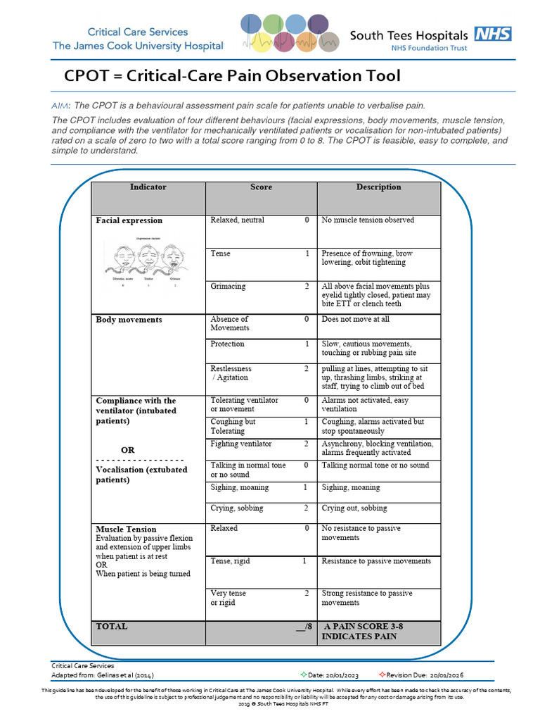 Critical care pain observation tool in ICU | PDF | Pain | Intensive ...