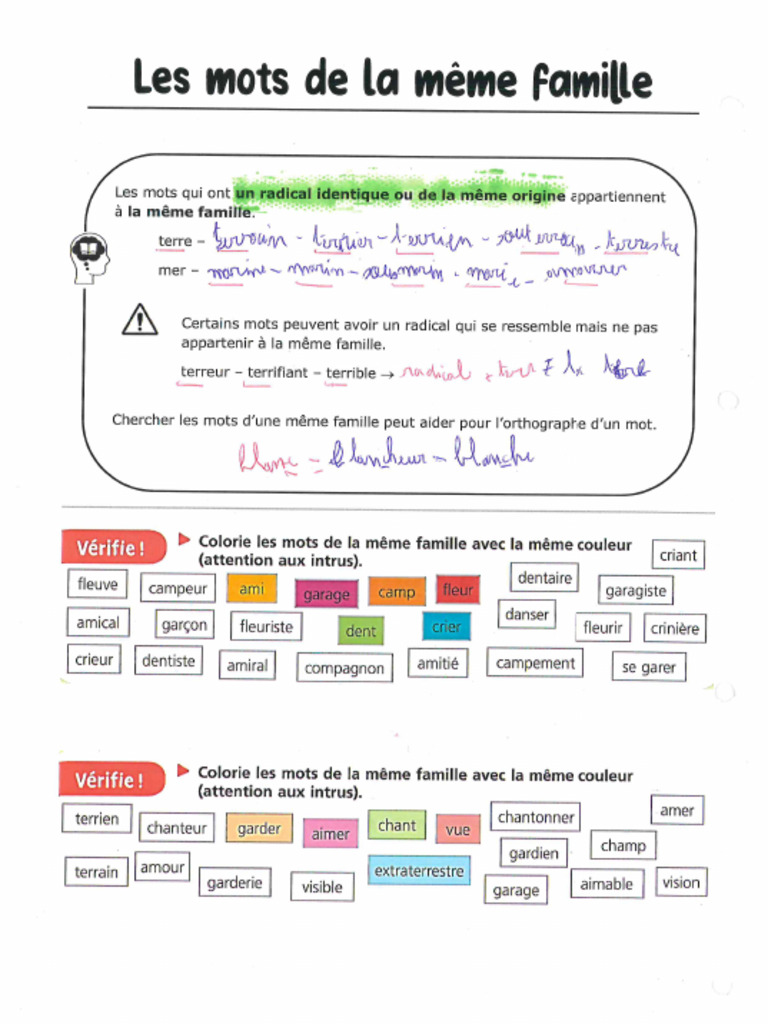 Leçon Mots Même Famille | PDF
