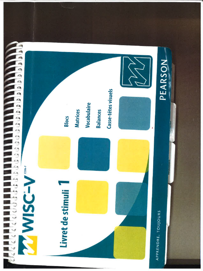 WISC V 1 1 Blocs | PDF