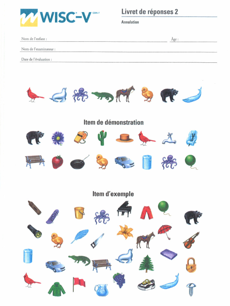 WISC V Livret de Réponses 2 | PDF