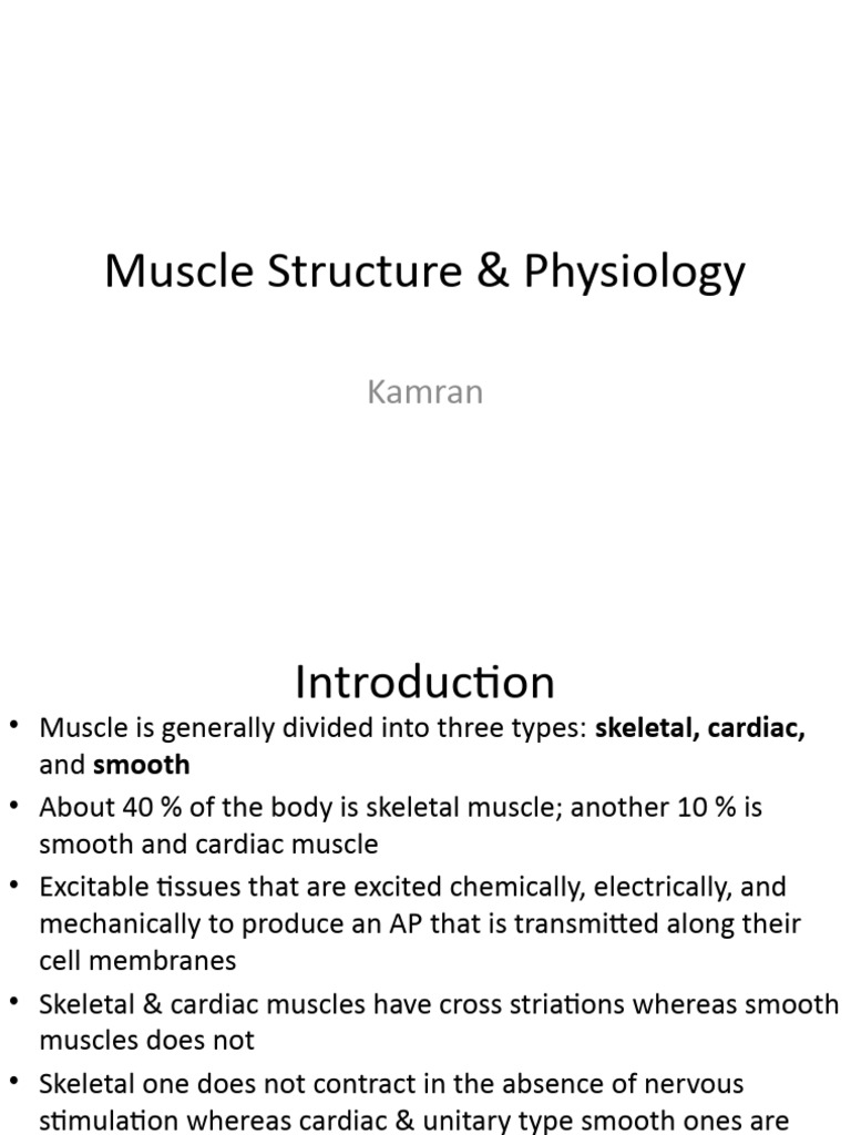Muscle Physiology | Download Free PDF | Muscle Contraction | Actin