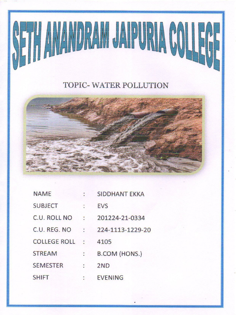 Project Water Pollution | PDF