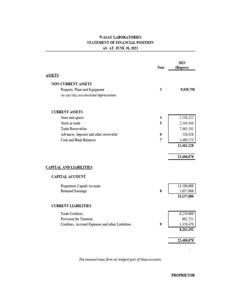 2023 Financial Statements of Wasay Laboratories | PDF | Depreciation ...