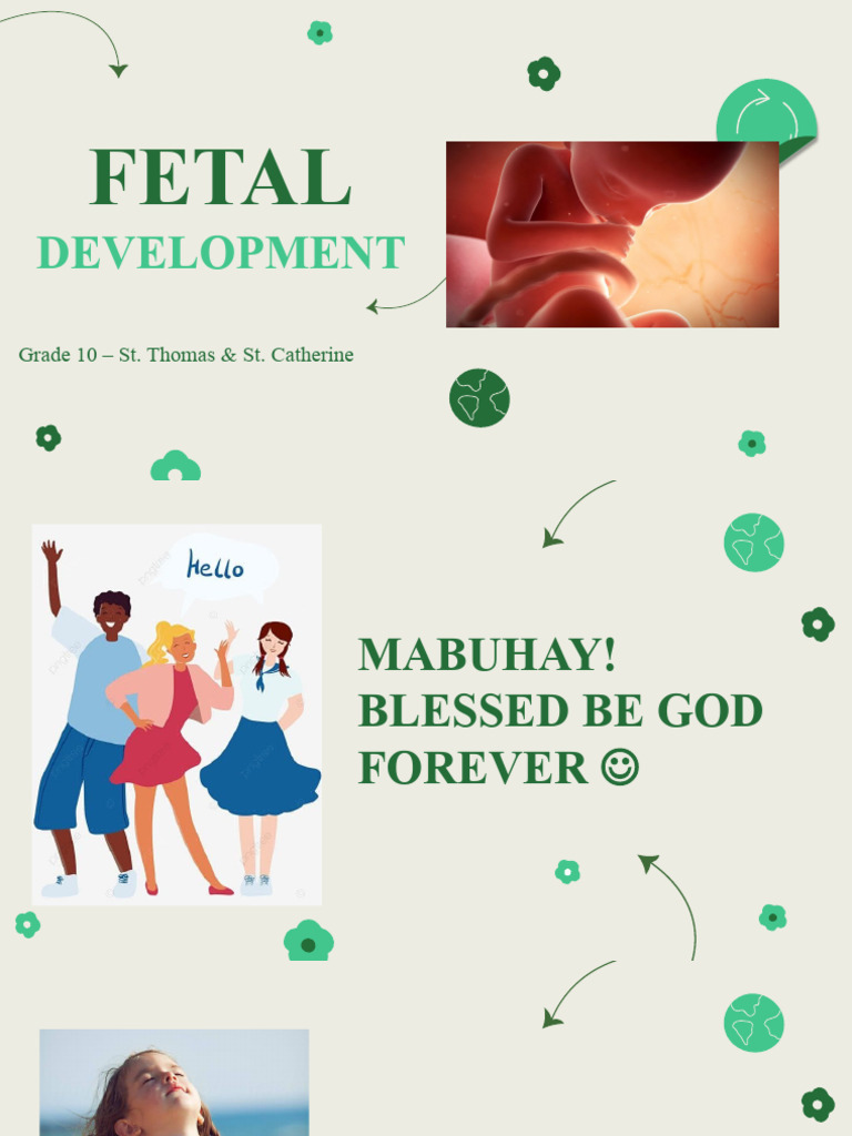 Grade 10 Fetal Development | PDF | Fetus | Pregnancy