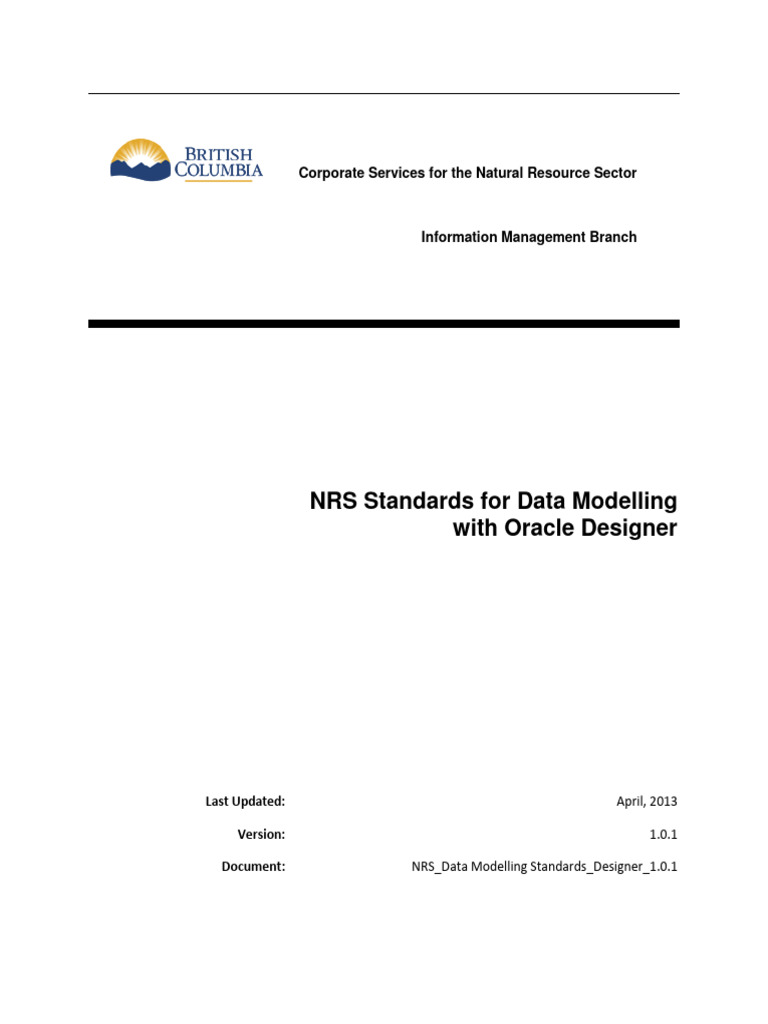 NRS Data Modelling Standards Guide | PDF | Conceptual Model | Data Model