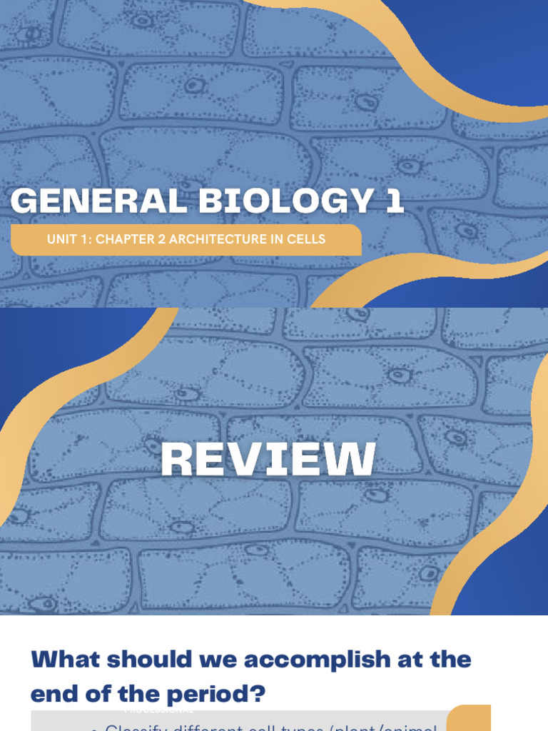 GENBIO1 UNIT1 CHAPTER2 (PLANT CELLS) | PDF