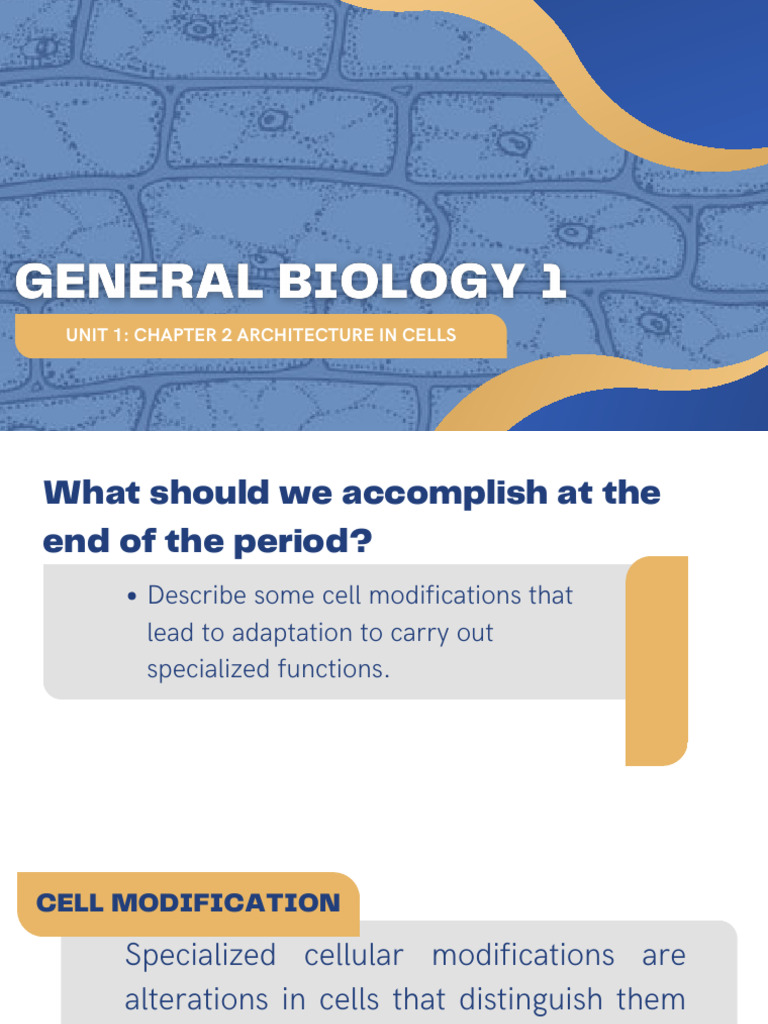 Genbio1 Unit1 Chapter2 (Cell Modification) | PDF | Cell (Biology) | Biology