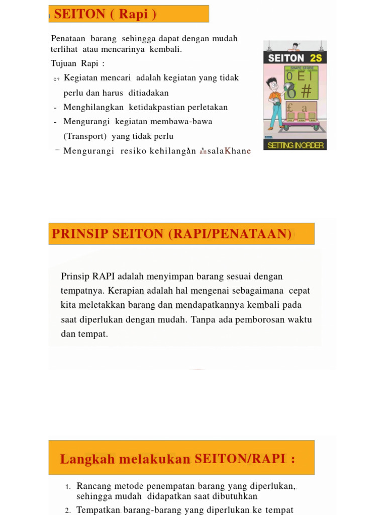 Seiton Rapi | PDF