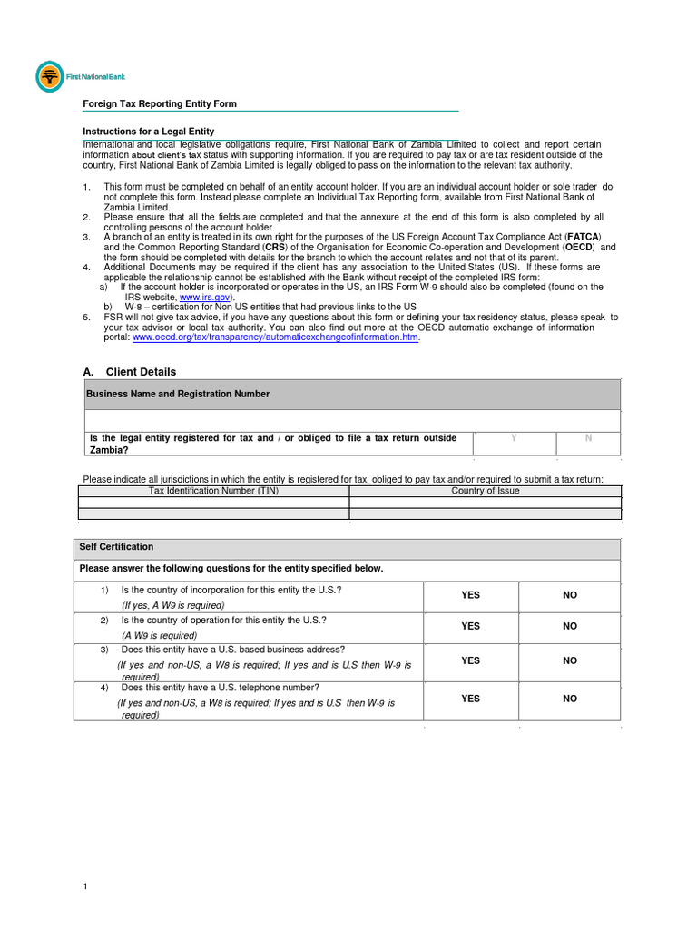 FNB Zambia Foreign Tax Reporting Form | PDF | Banks | Nonprofit Organization