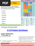 Protein Synthesis Race Worksheet | PDF | Translation (Biology ...